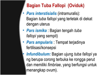 SISTEM REPRODUKSI WANITA | PPT