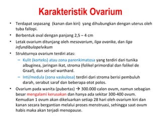 SISTEM REPRODUKSI WANITA | PPT