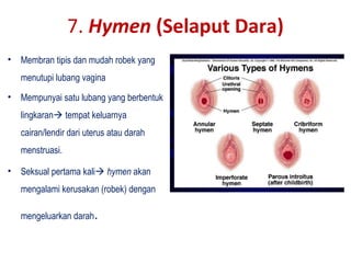 SISTEM REPRODUKSI WANITA | PPT