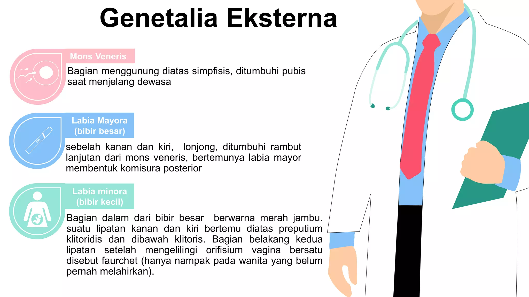 Anatomi Fisiologi Sistem Reproduksi Wanita | PPTX