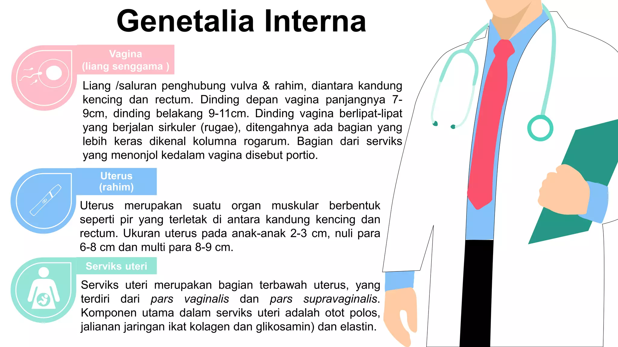 Anatomi Fisiologi Sistem Reproduksi Wanita | PPTX