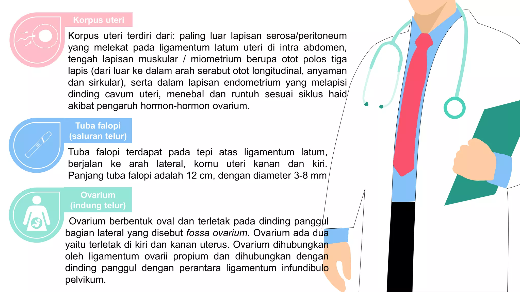 Anatomi Fisiologi Sistem Reproduksi Wanita | PPTX