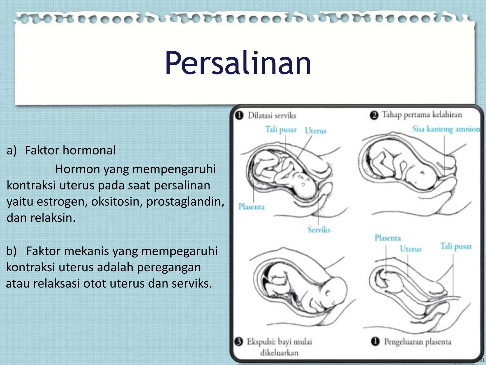 Sistem Reproduksi Wanita, Sistem Reproduksi Wanita | PPT