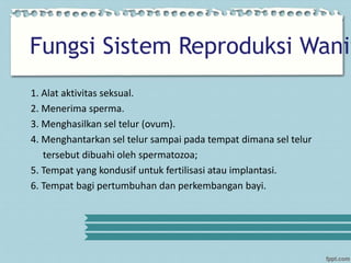 Sistem Reproduksi Wanita, Sistem Reproduksi Wanita | PPT