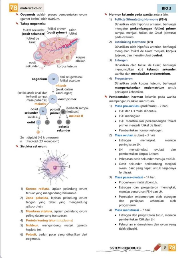 SISTEM REPRODUKSI XI IPA 1 - XI IPA 5.pdf