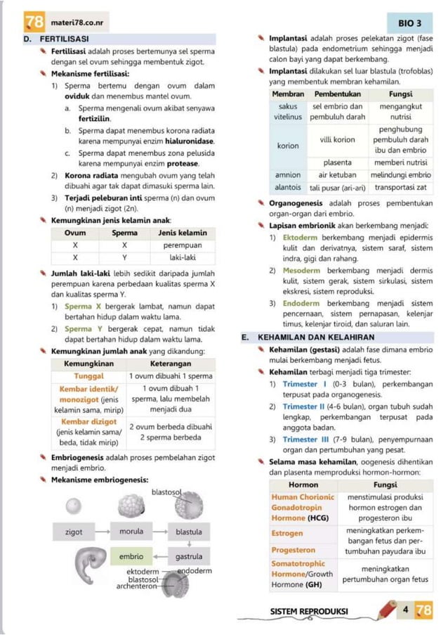 SISTEM REPRODUKSI XI IPA 1 - XI IPA 5.pdf