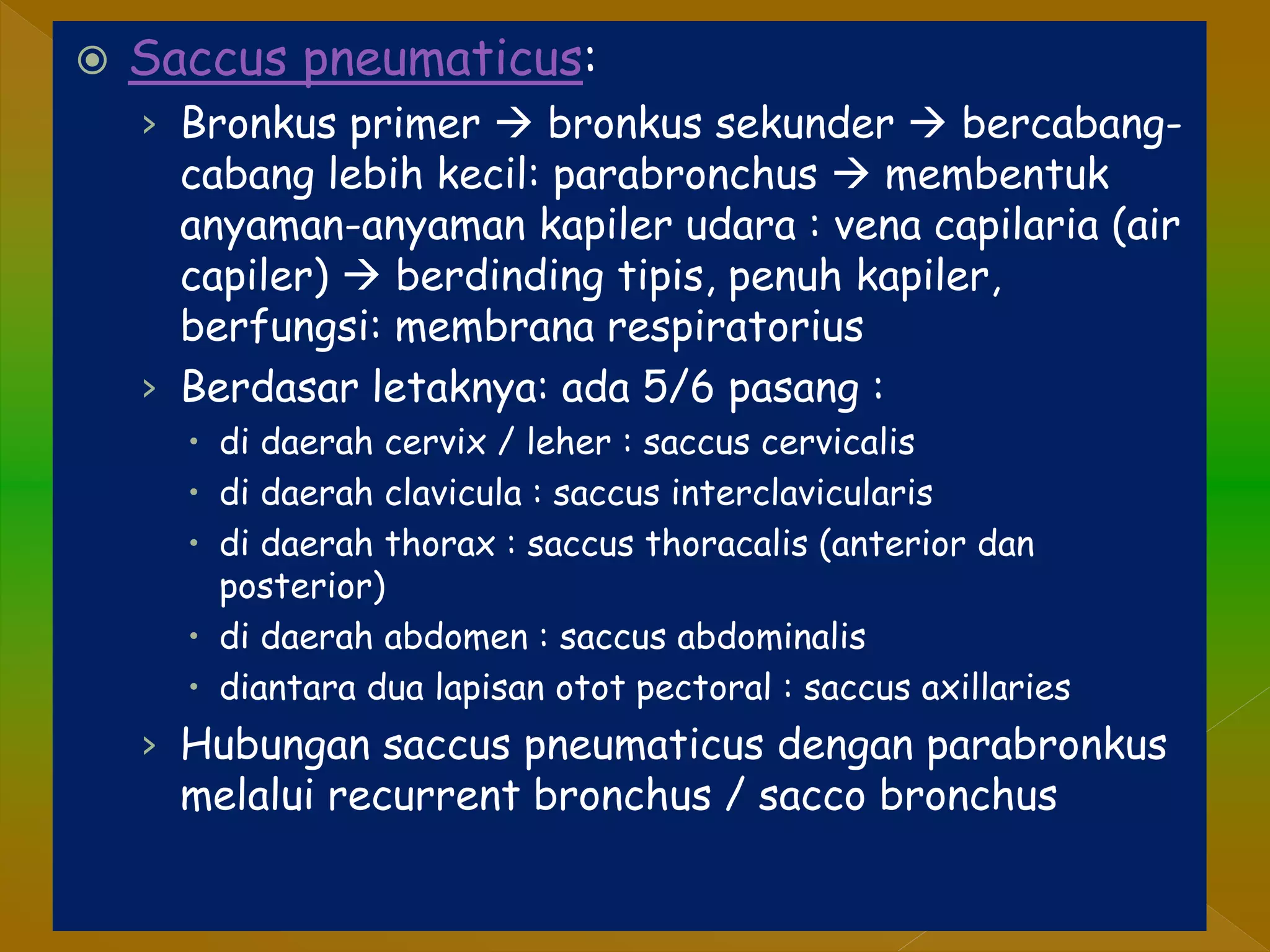 Sistem respirasi | PDF