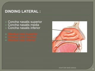 Sistem respirasi | PPTX