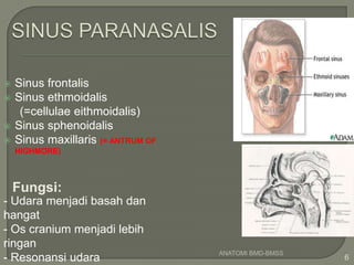 Sistem respirasi | PPTX
