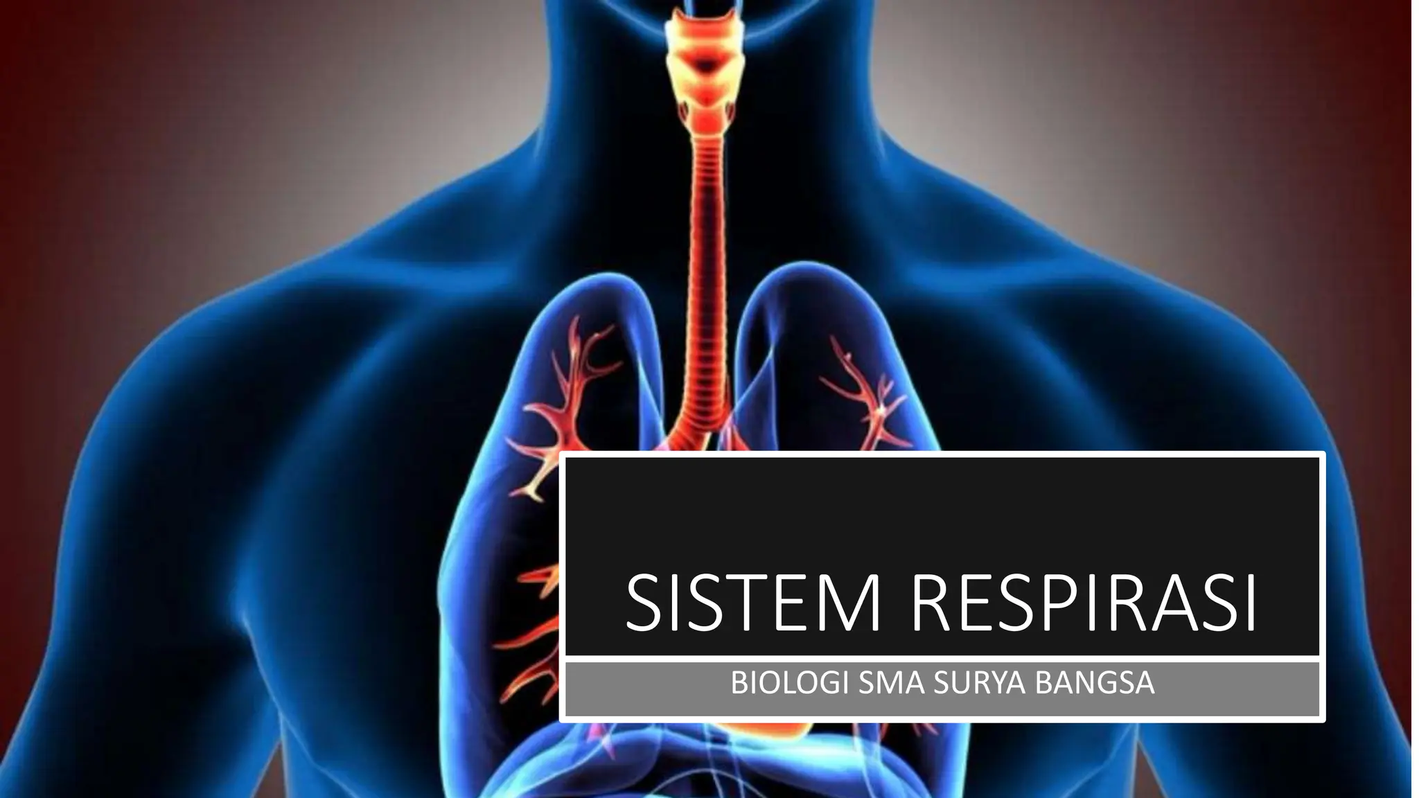 2443443424423535355SISTEM RESPIRASI.pptx