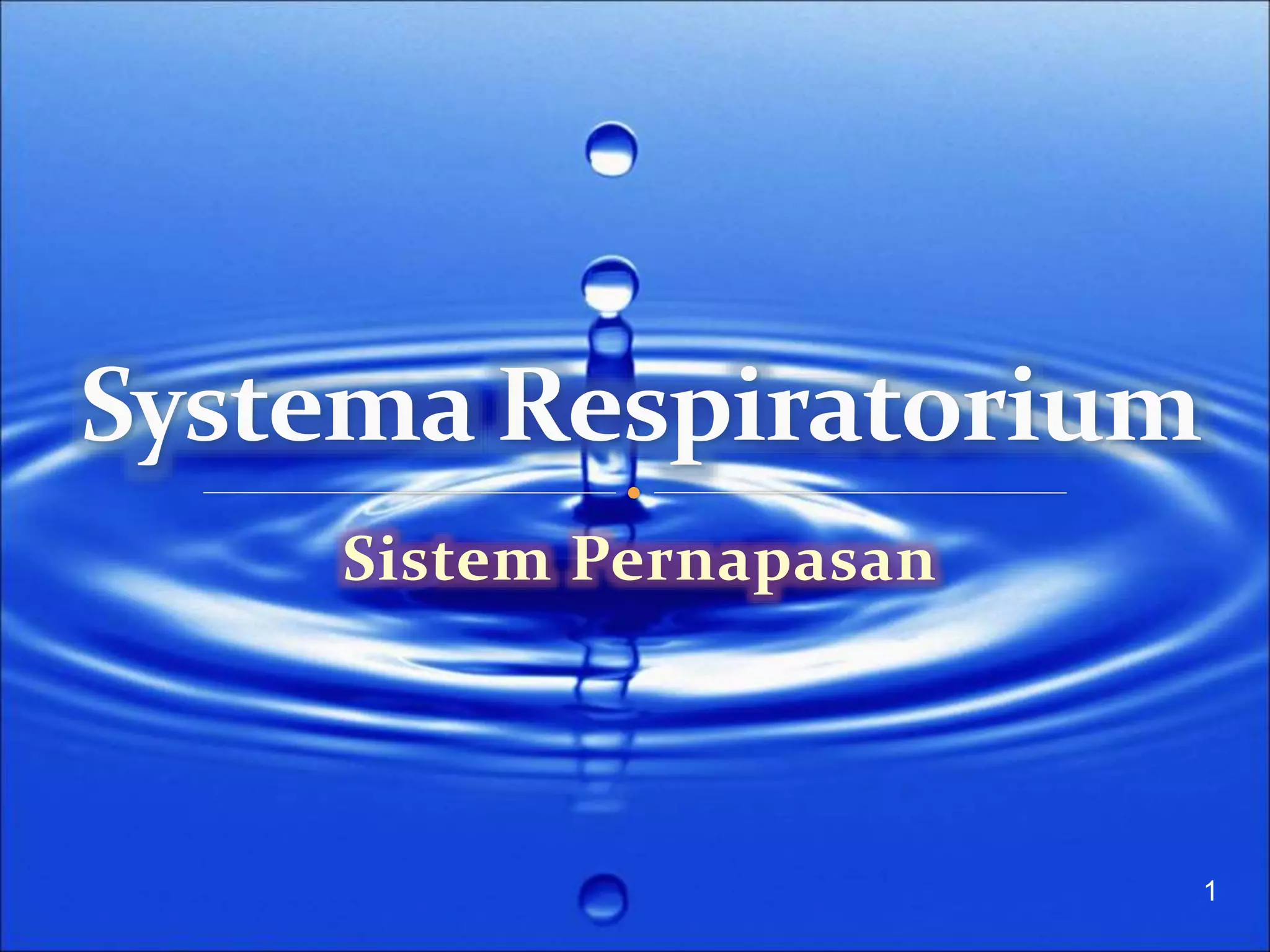 SISTEM RESPIRASI-IBO.ppt