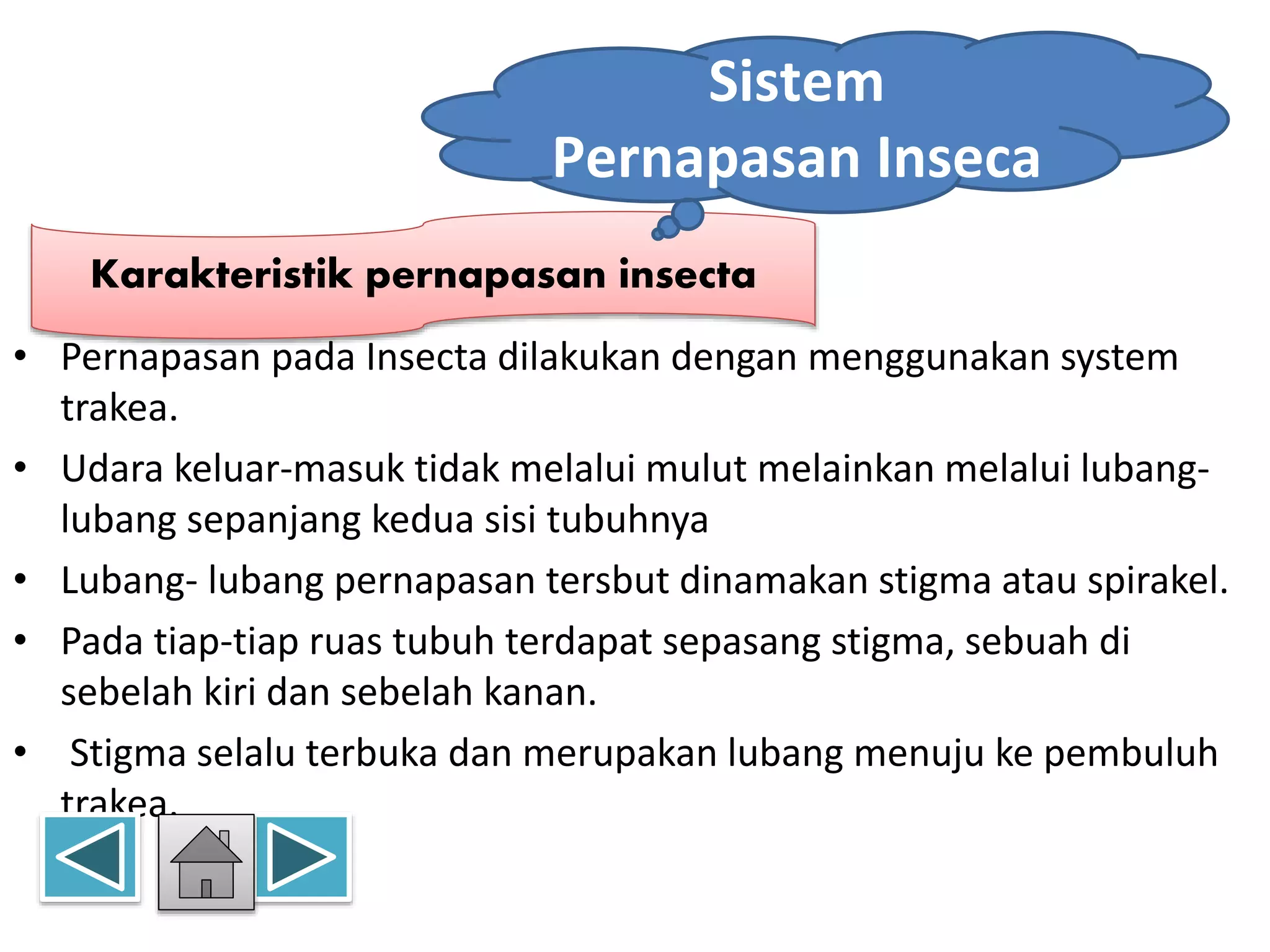 Sistem respirasi hewan | PPTX