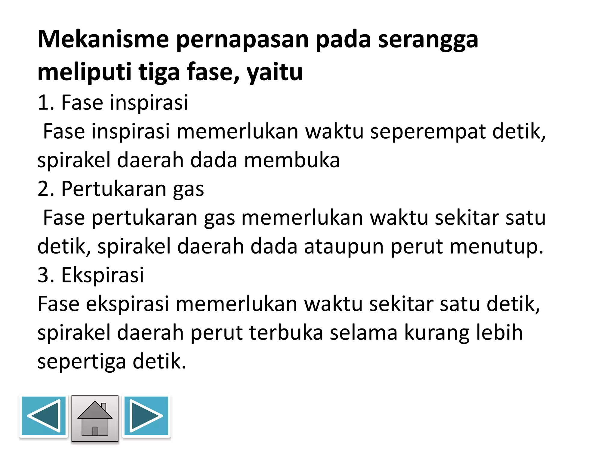 Sistem respirasi hewan | PPTX