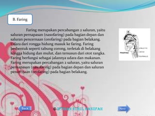 Sistem respirasi manusia | PPT