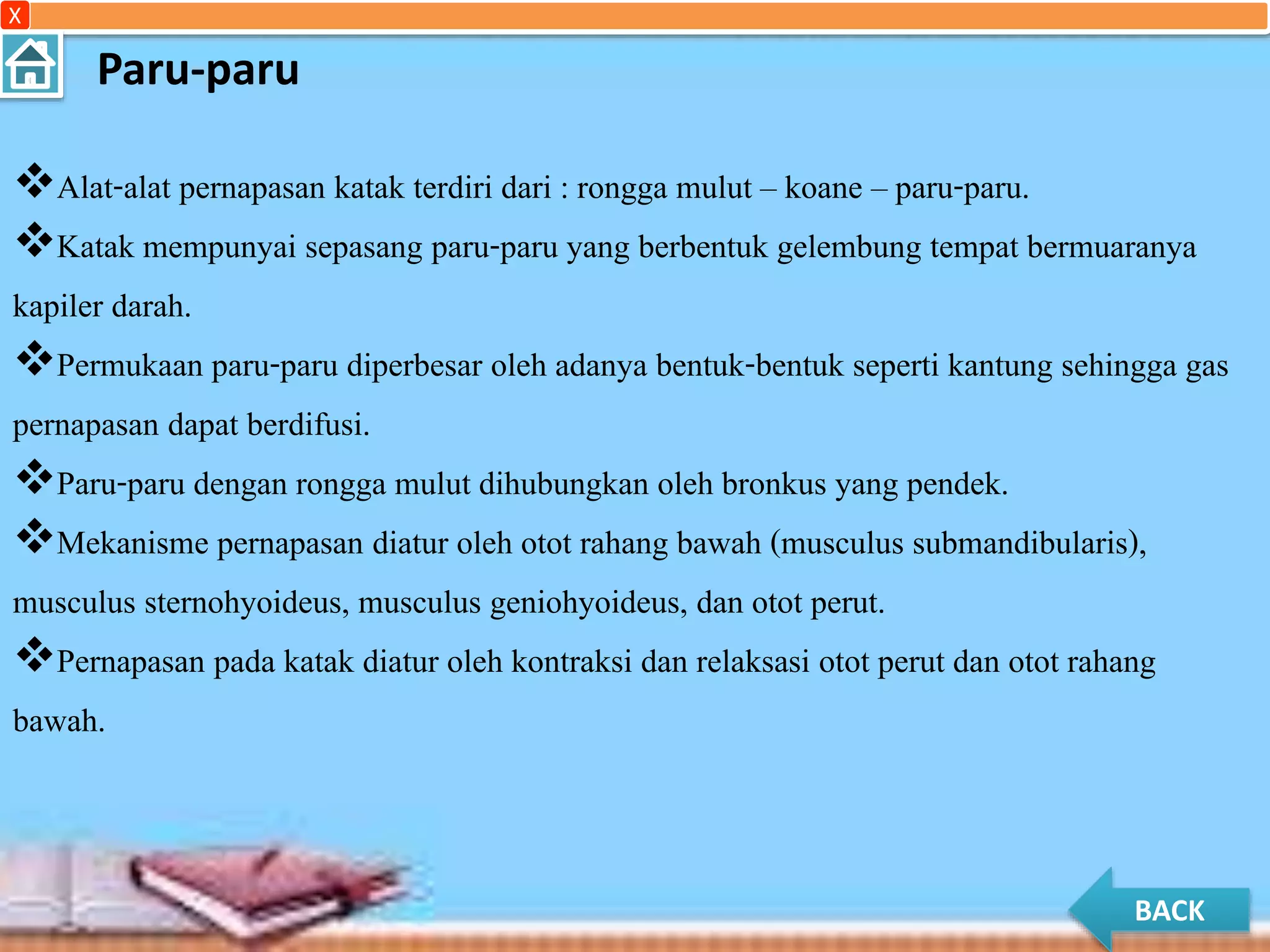 Sistem respirasi pada katak | PPTX