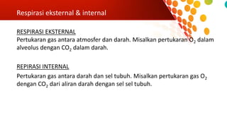 Sistem respirasi pada manusia | PPTX
