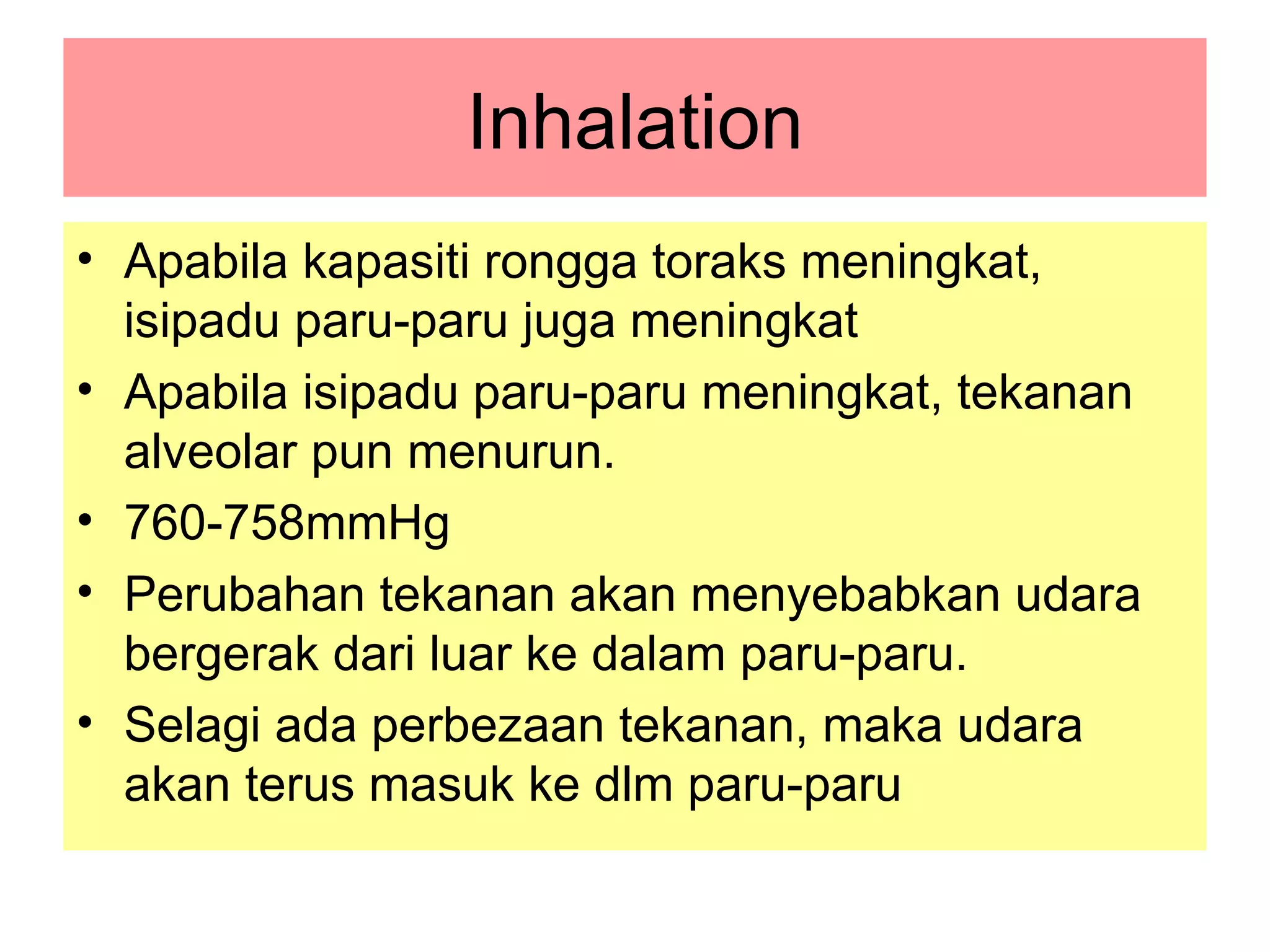 Sistem respiratori | PPT