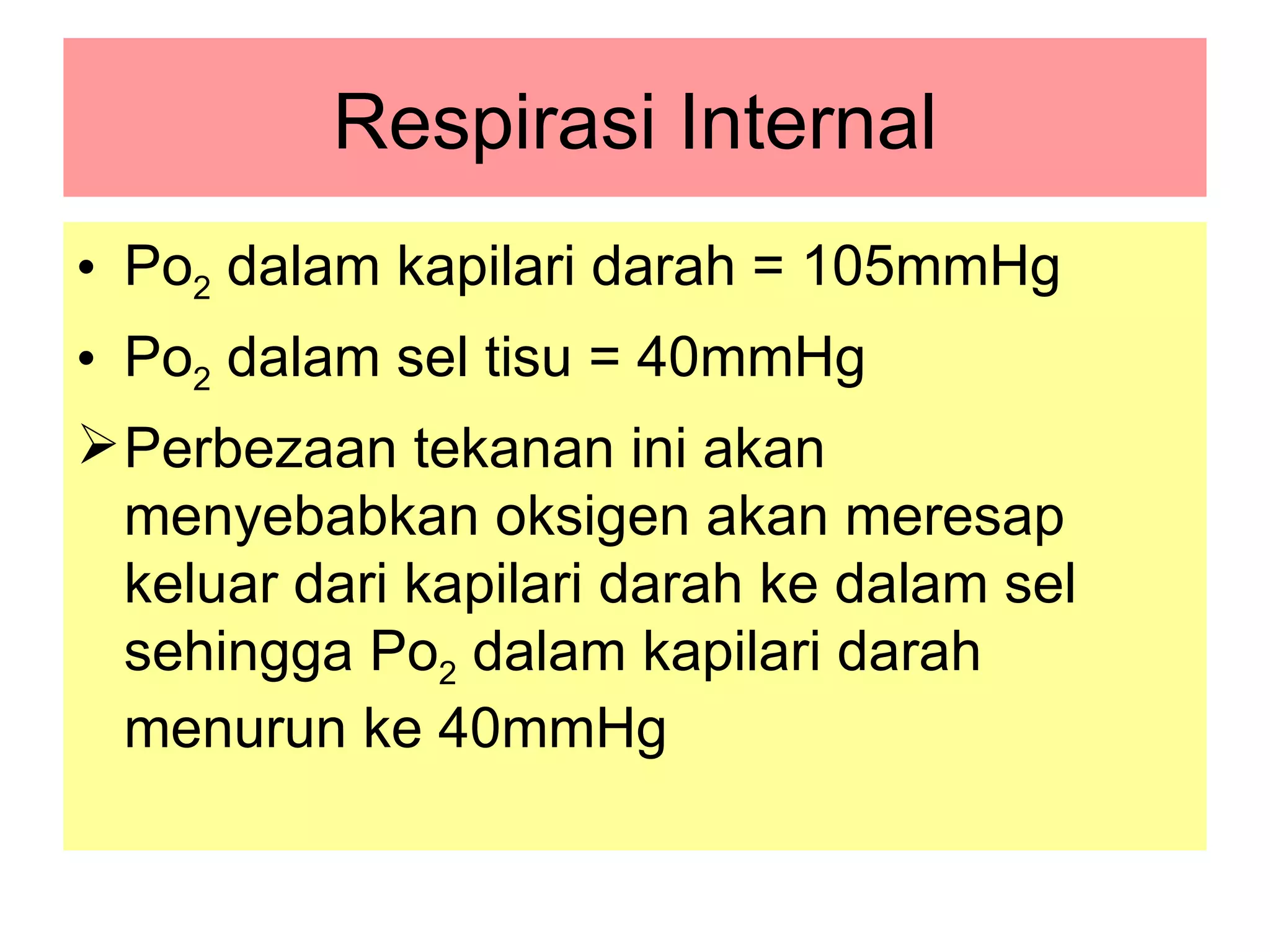 Sistem respiratori | PPT