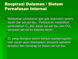 SISTEM RESPIRATORI T5.ppt