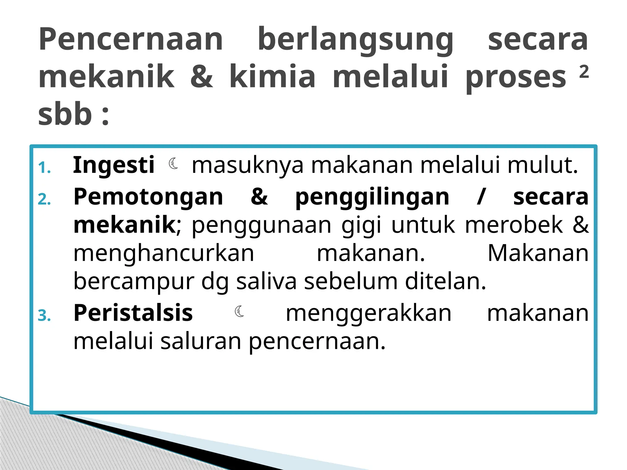 SISTEM SALURAN PENCERNAAN KE 2 DAN 3.pptx