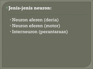 Sistem saraf | PPT