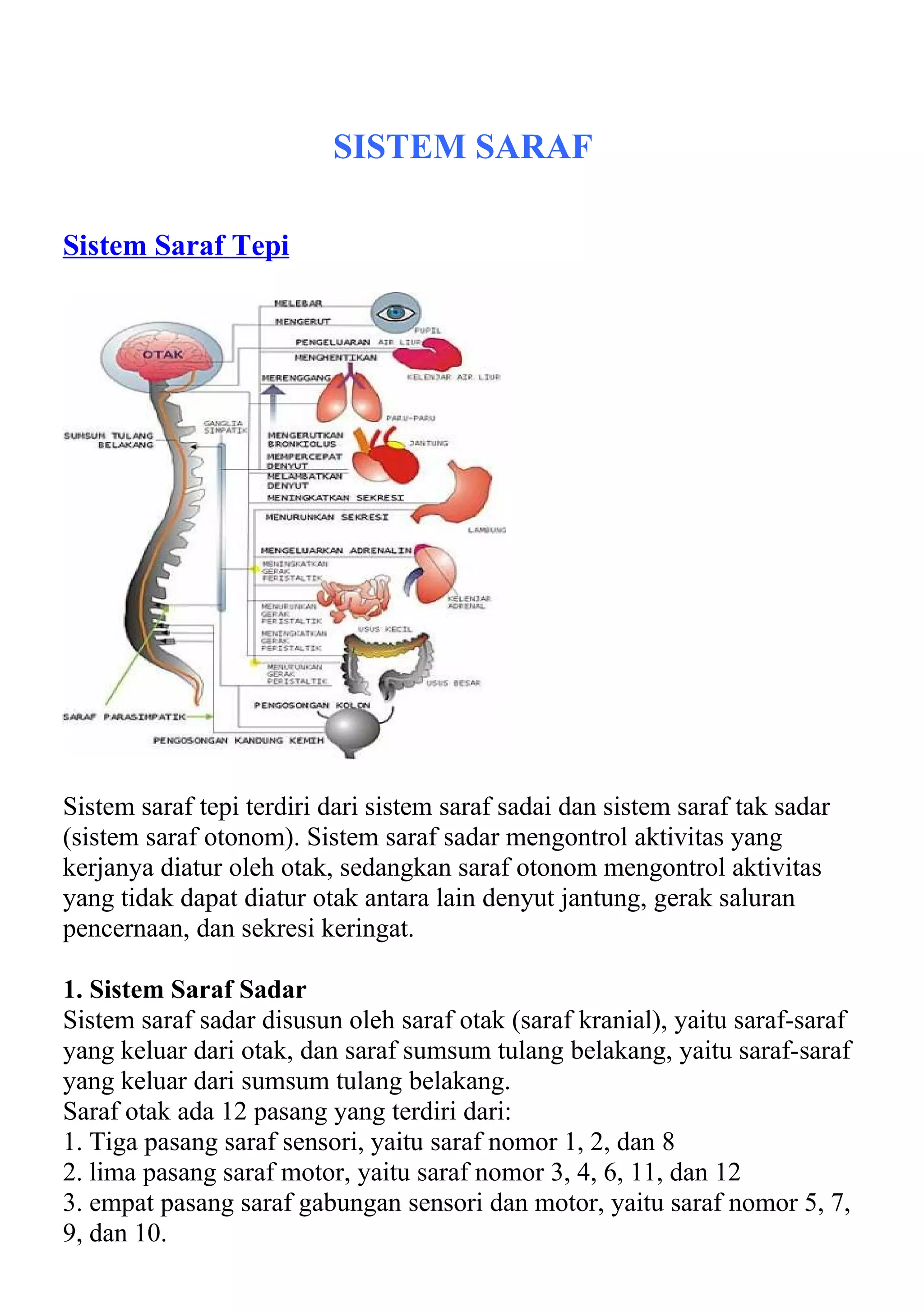 Sistem saraf | DOC