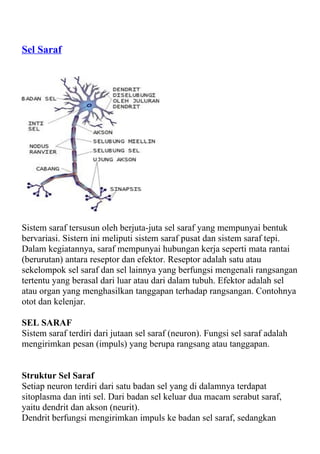 Sistem saraf | DOC