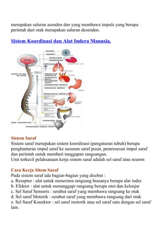 Sistem saraf | DOC