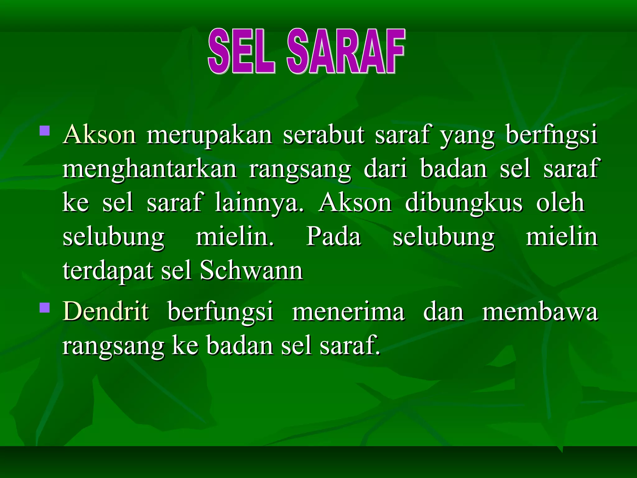 Sistem saraf | PPT