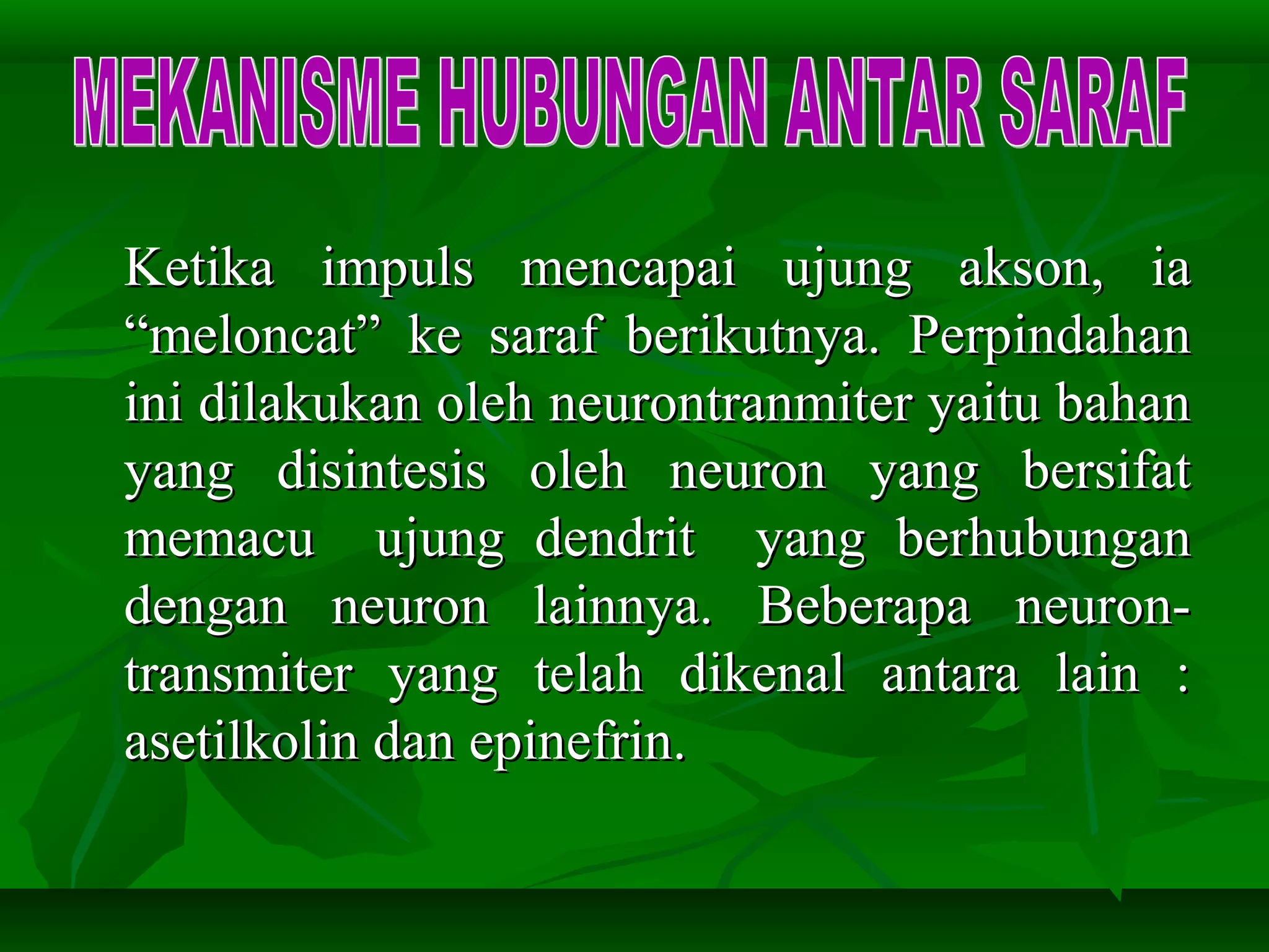 Sistem saraf | PPT