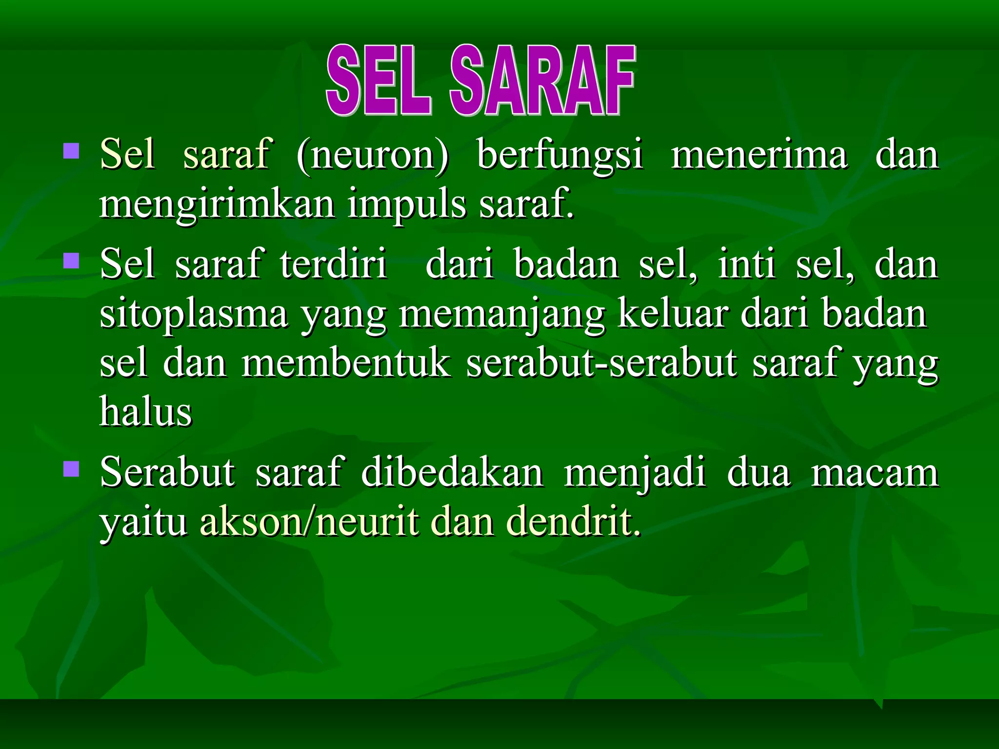 Sistem saraf | PPT