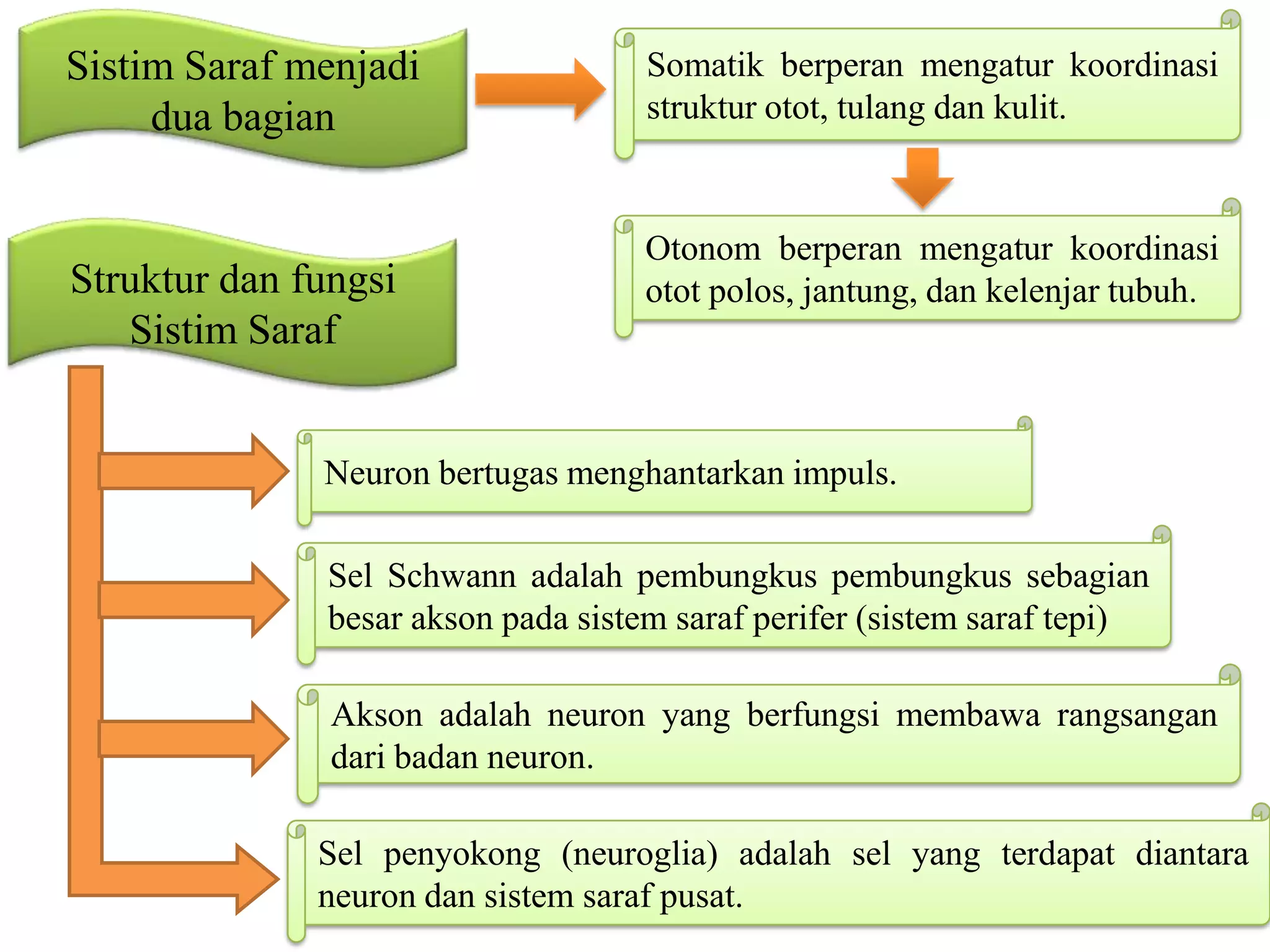 Sistem saraf | PPTX