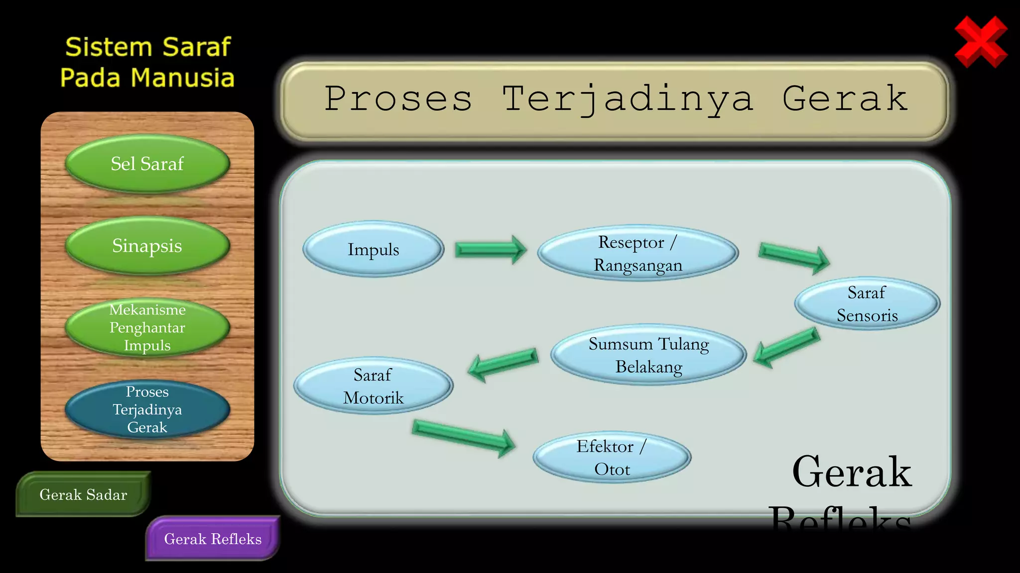 Sistem saraf Manusia | PPTX