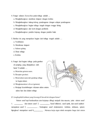 Contoh Soal Sistem Saraf | DOCX