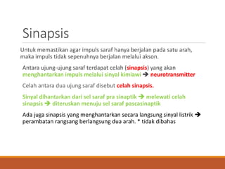 Sistem saraf | PPTX