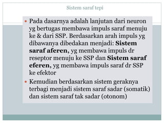 Sistem saraf | PPTX