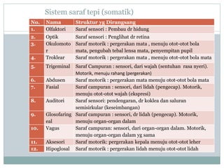 Sistem saraf | PPTX