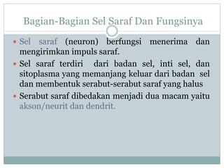 Sistem saraf | PPTX