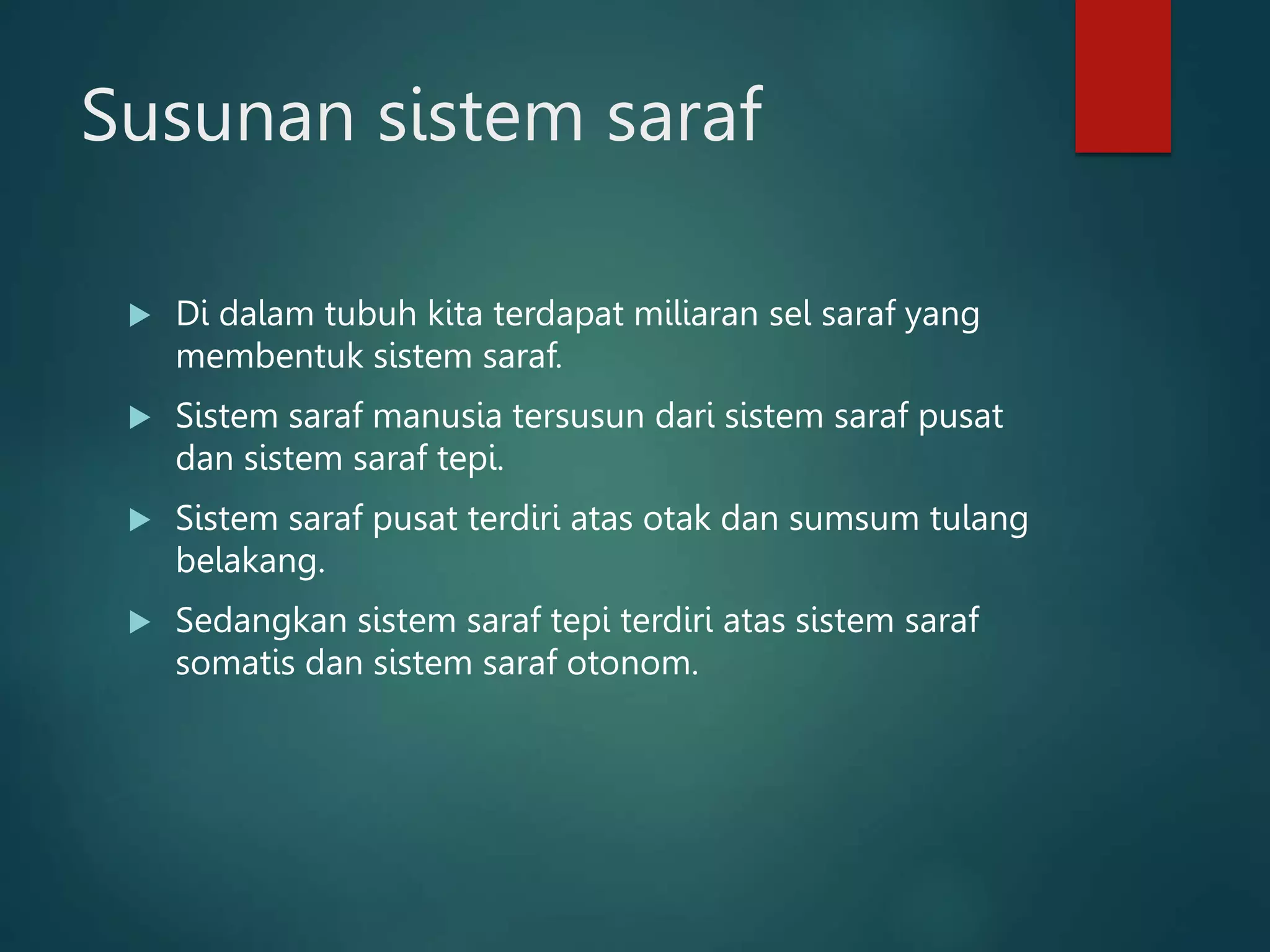 Sistem saraf.pptx