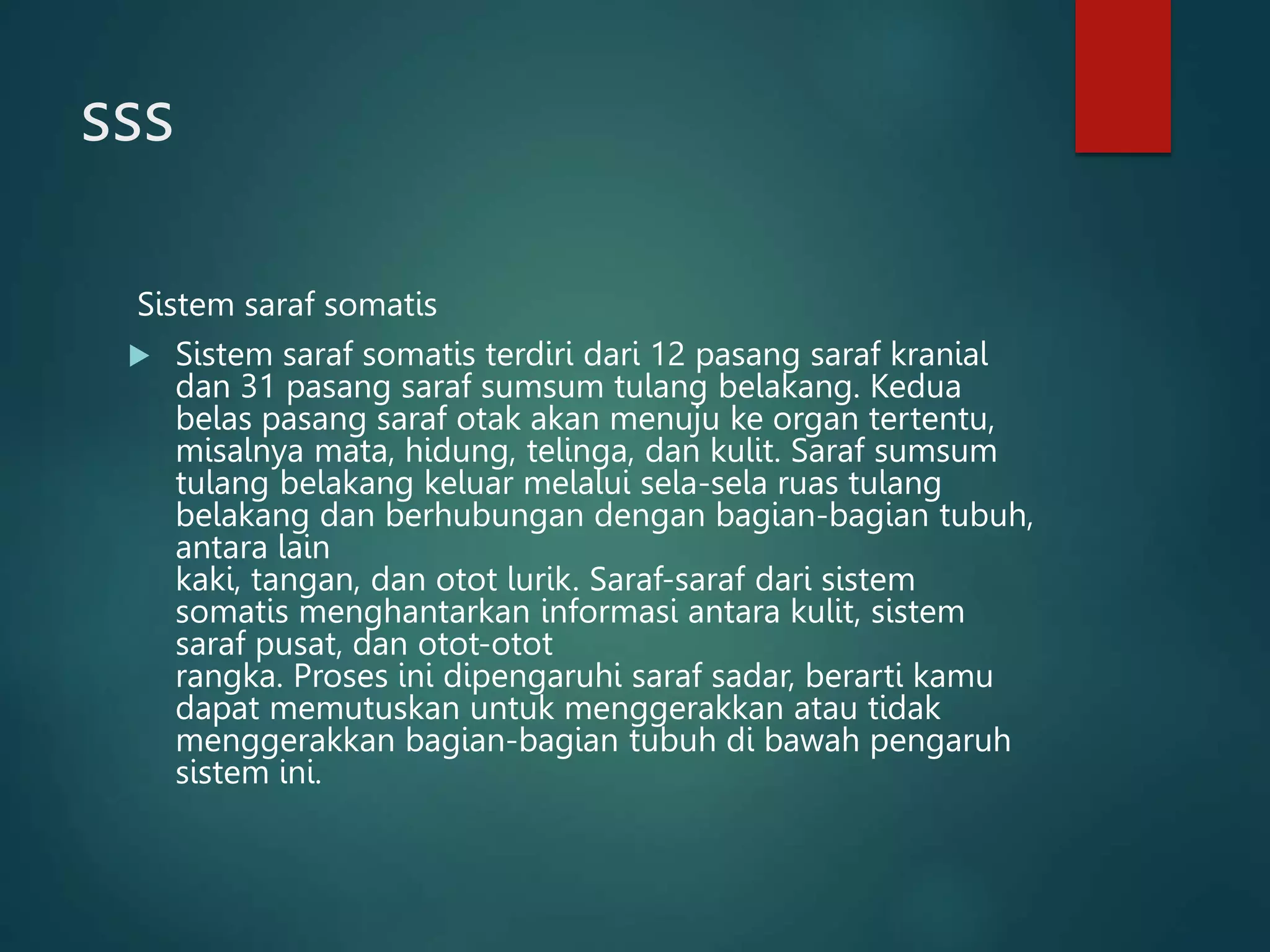 Sistem saraf.pptx