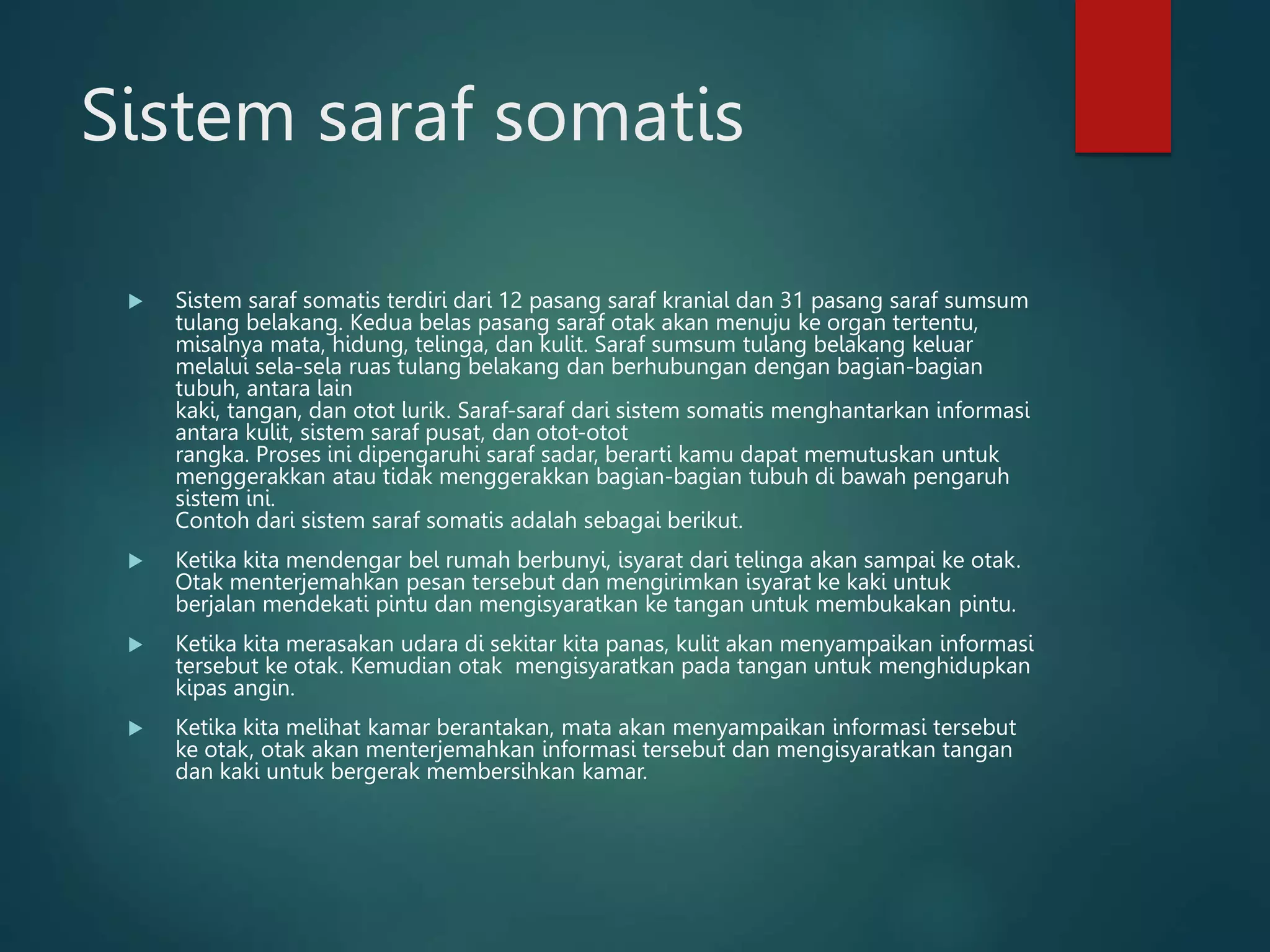 Sistem saraf.pptx