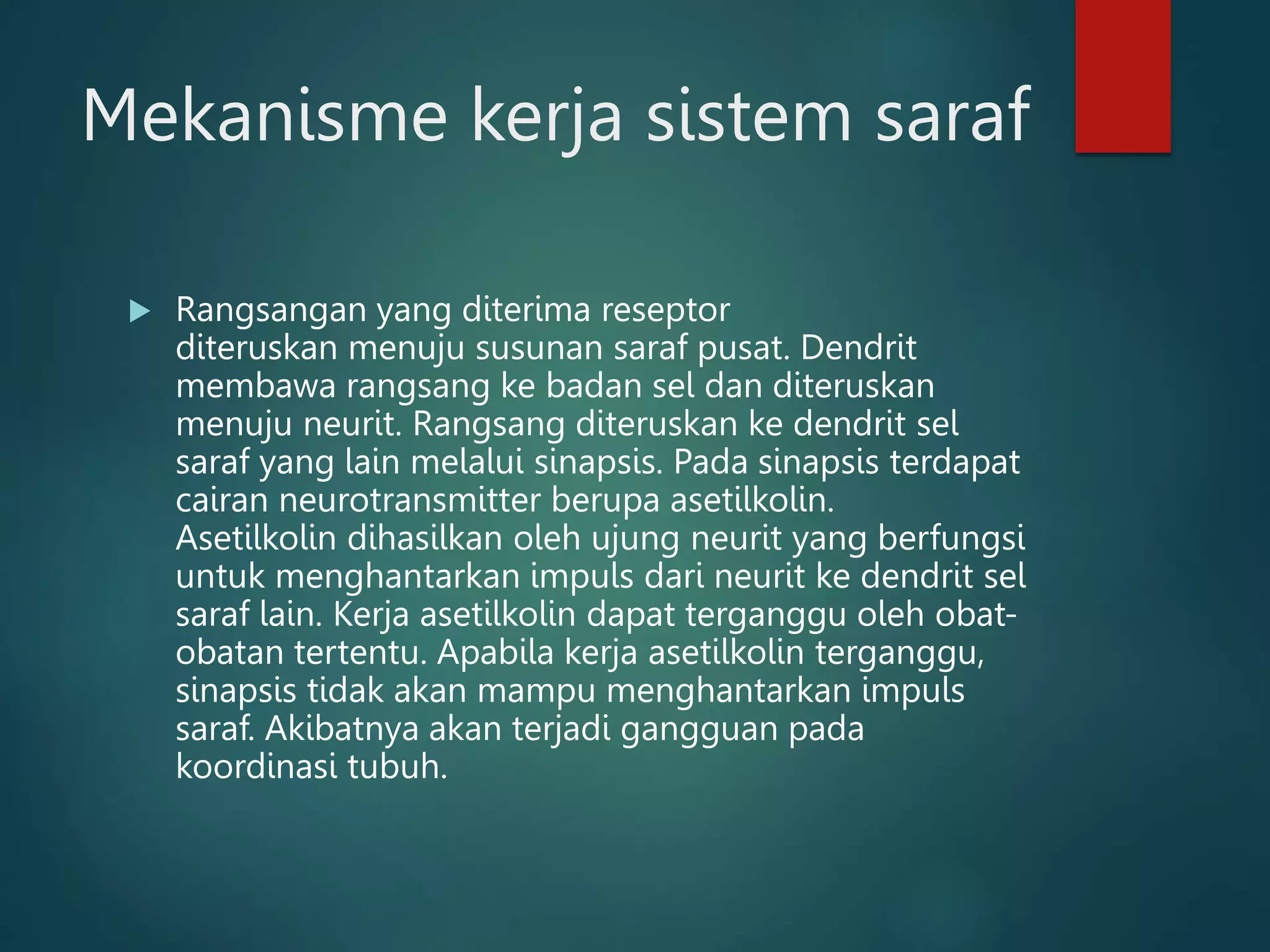 Sistem saraf.pptx