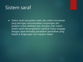 Sistem saraf.pptx