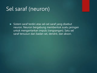 Sistem saraf.pptx