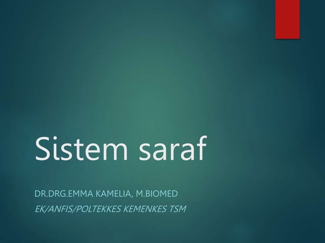 SISTEM SARAF | PPT