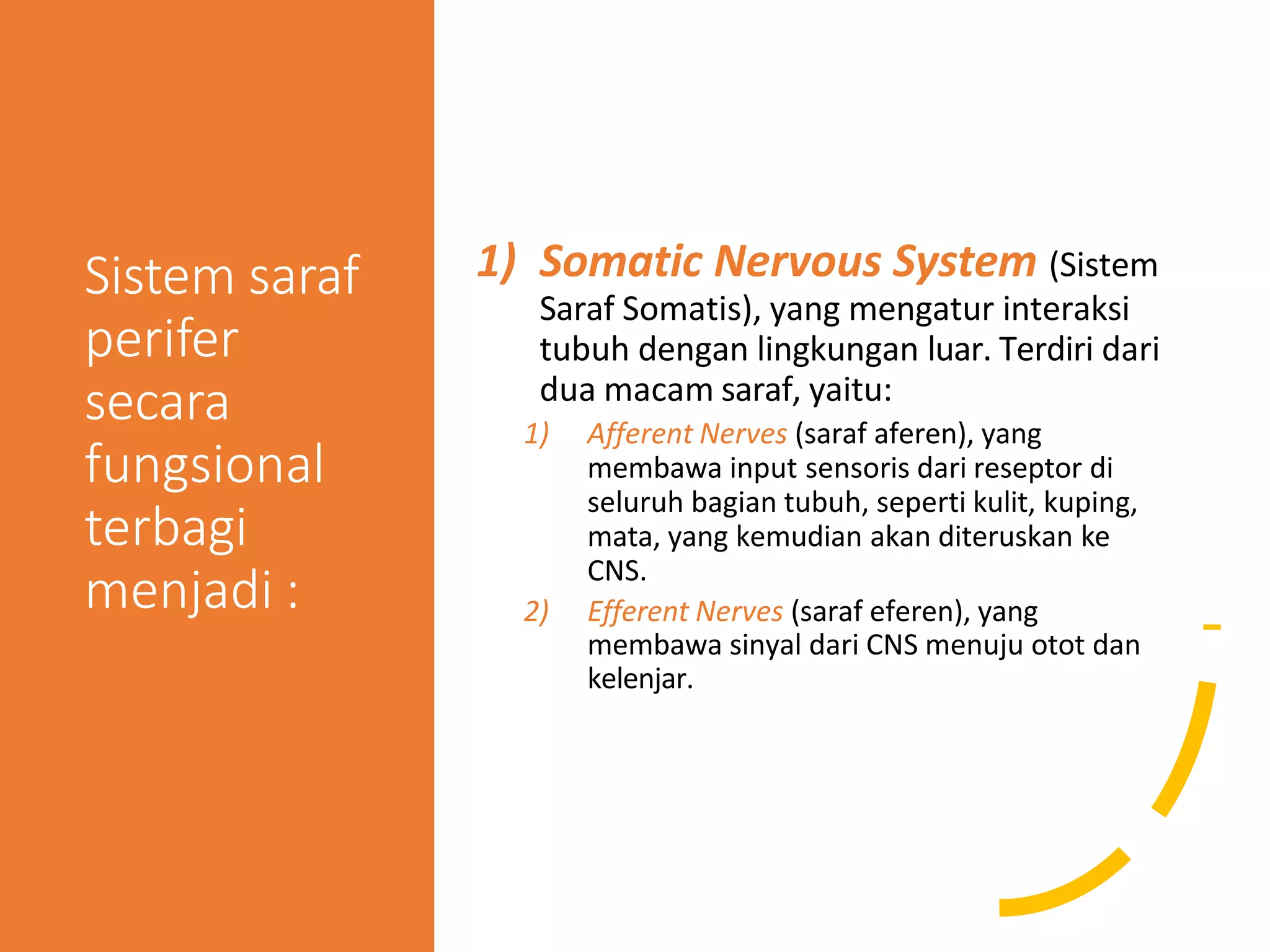 SISTEM SARAF.pptx