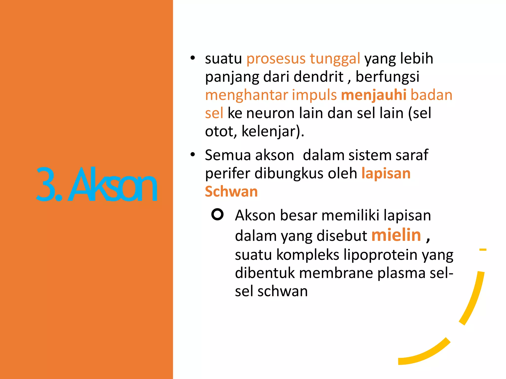 SISTEM SARAF.pptx
