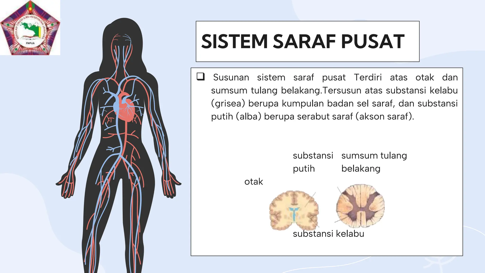 sistem saraf 1234566789001245778990.pptx