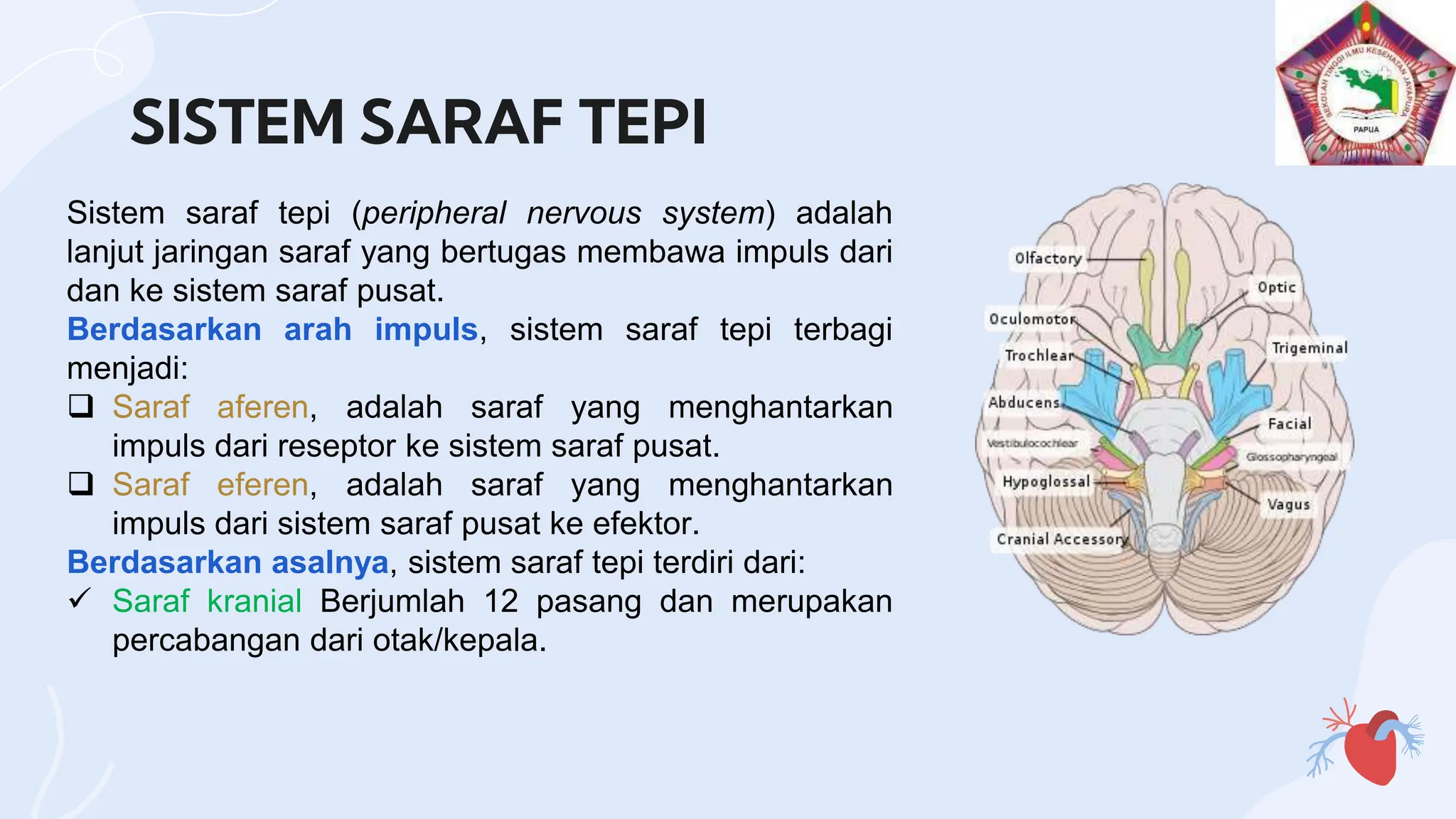 sistem saraf 1234566789001245778990.pptx