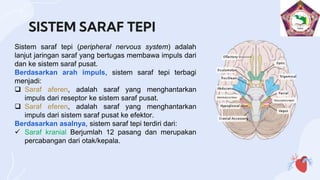 sistem saraf 1234566789001245778990.pptx
